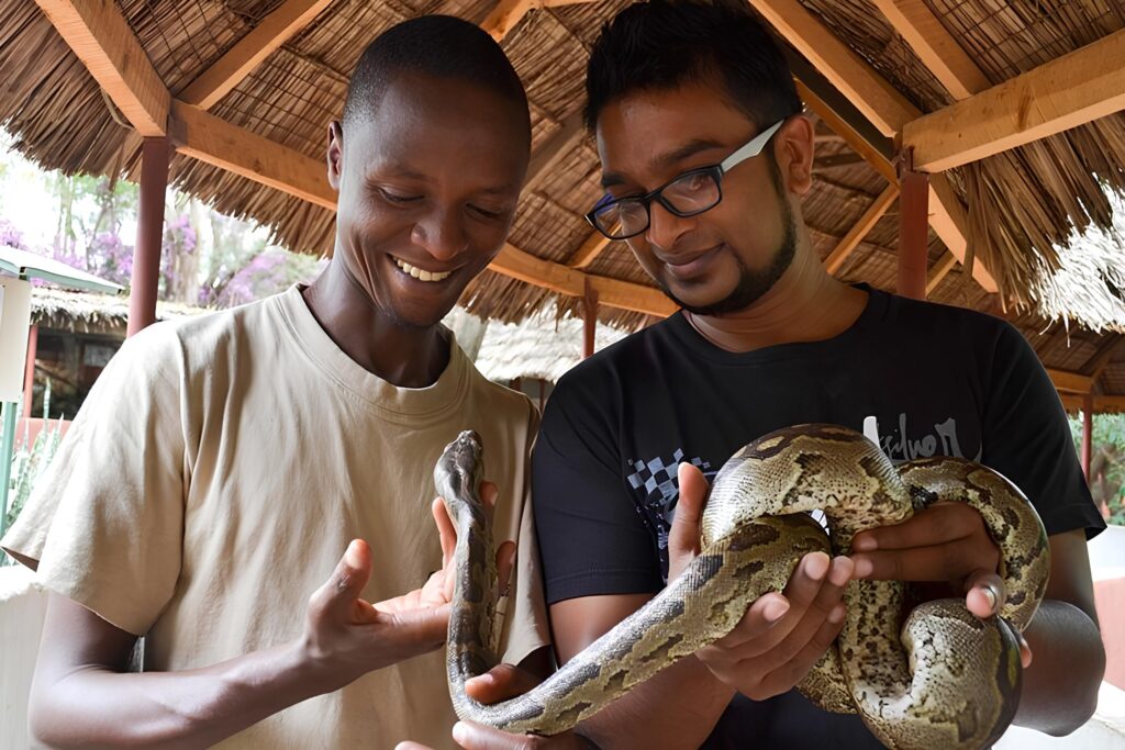 Meserani Snake Park Arusha's Premier Wildlife & Cultural Attraction ...